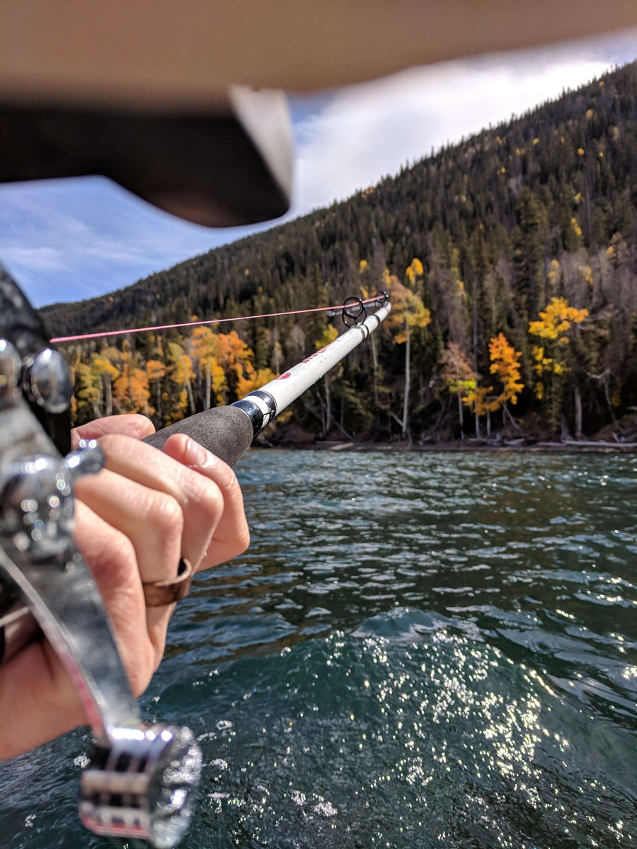 Tees – Element Ring Co